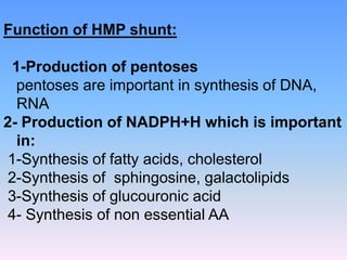 Lecture 5 -HMP. pdf | PDF
