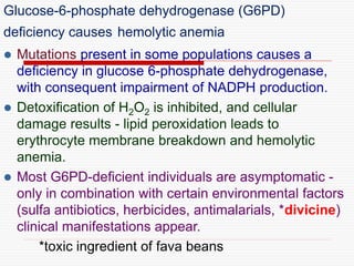 Lecture 5 -HMP. pdf | PDF