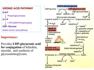 Lecture 5 -HMP. pdf | PDF