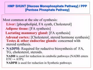 Lecture 5 -HMP. pdf | PDF
