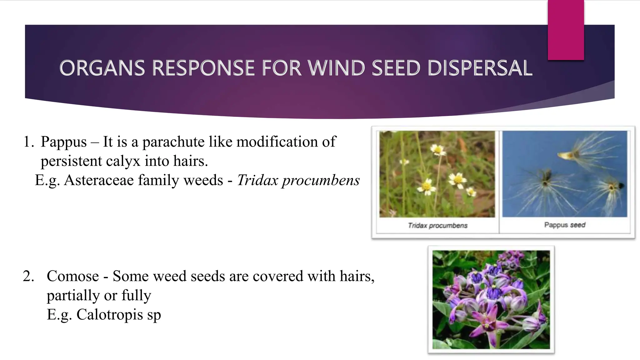 LIFE CYCLE OF WEEDS, WEED MIGRATION, WEED SEED DISTRIBUTION IN ...