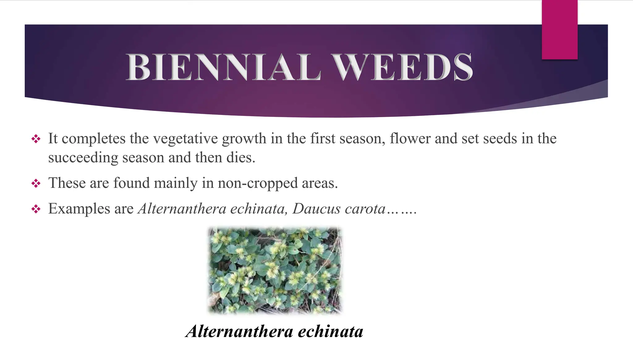 LIFE CYCLE OF WEEDS, WEED MIGRATION, WEED SEED DISTRIBUTION IN ...