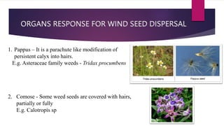 LIFE CYCLE OF WEEDS, WEED MIGRATION, WEED SEED DISTRIBUTION IN ...
