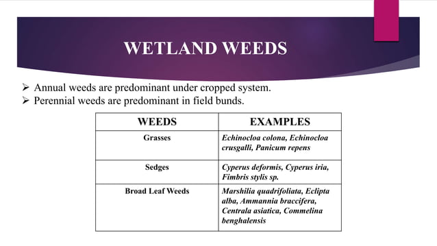 LIFE CYCLE OF WEEDS, WEED MIGRATION, WEED SEED DISTRIBUTION IN ...