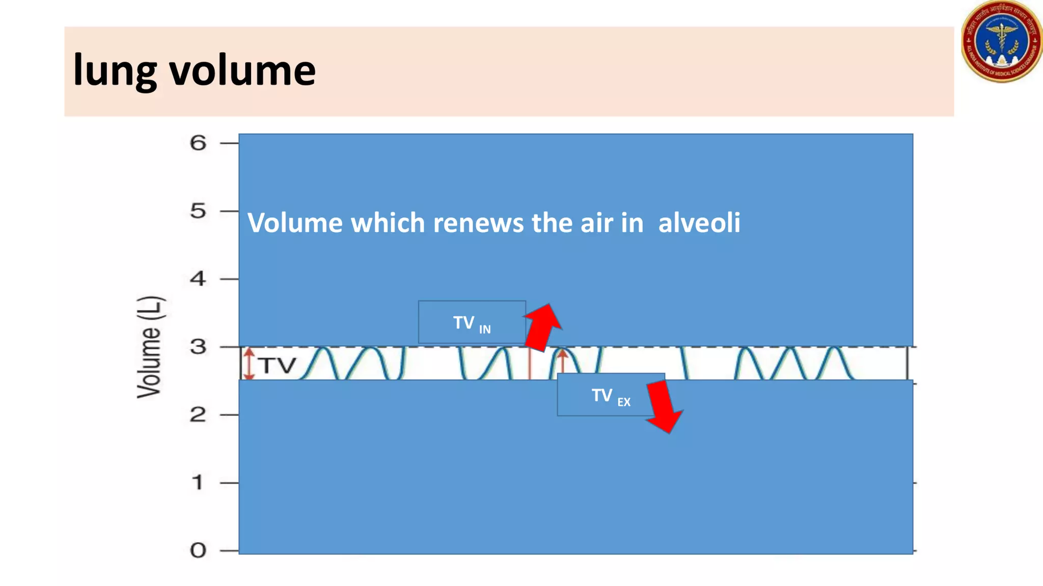 lecture 5/2023 - Respiratory Physiology - lung volume & capacities.pdf