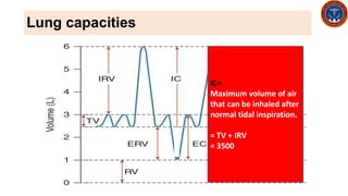 lecture 5/2023 - Respiratory Physiology - lung volume & capacities.pdf