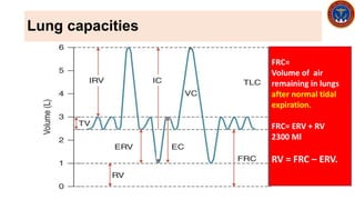 lecture 5/2023 - Respiratory Physiology - lung volume & capacities.pdf