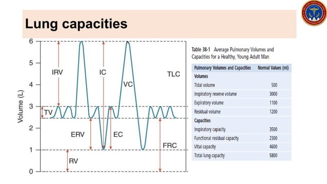 lecture 5/2023 - Respiratory Physiology - lung volume & capacities.pdf