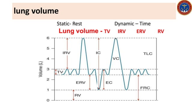 lecture 5/2023 - Respiratory Physiology - lung volume & capacities.pdf