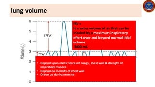 lecture 5/2023 - Respiratory Physiology - lung volume & capacities.pdf