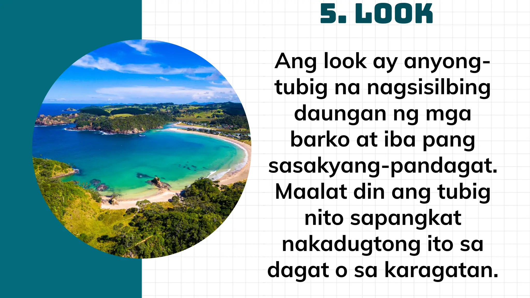 LECTURE 5-MGA ANYONG LUPA AT TUBIG SA DAIGDIG.pptx