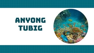 LECTURE 5-MGA ANYONG LUPA AT TUBIG SA DAIGDIG.pptx