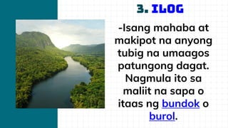 LECTURE 5-MGA ANYONG LUPA AT TUBIG SA DAIGDIG.pptx