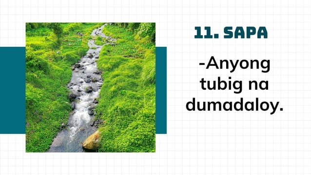 LECTURE 5-MGA ANYONG LUPA AT TUBIG SA DAIGDIG.pptx