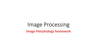 Lecture 5 Morphology Assignmensssst Pptx