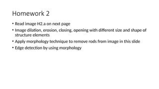lecture 5-Morphology_assignmensssst.pptx