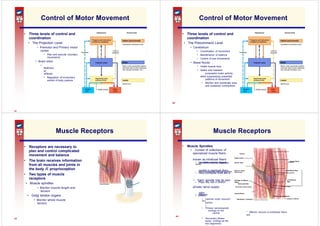 somatic nervous system lecture lesson one | PPTX