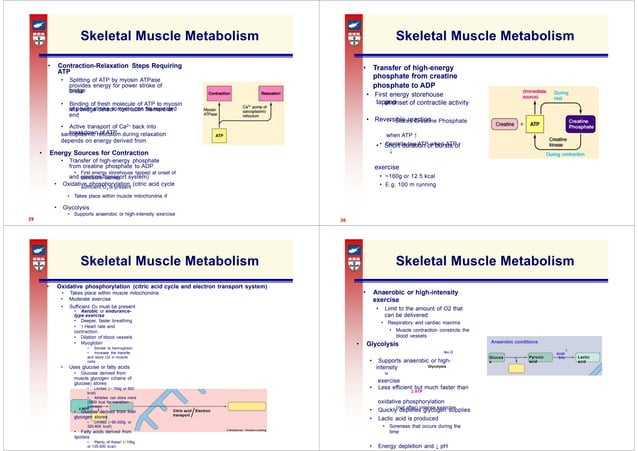 somatic nervous system lecture lesson one | PPTX