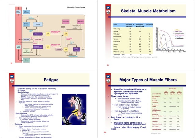 somatic nervous system lecture lesson one | PPTX