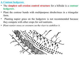 Lecture 5-Soil and Water Management under Agroforestry system.pptx
