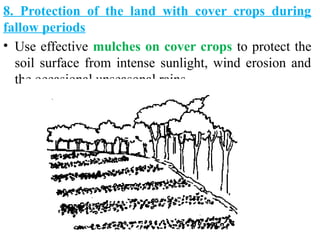 Lecture 5-Soil and Water Management under Agroforestry system.pptx