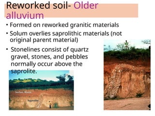 LECTURE 5-Soil Management Groups for Malaysian Soil (Felda).pptx