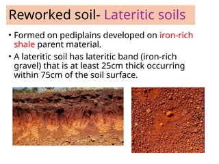 LECTURE 5-Soil Management Groups for Malaysian Soil (Felda).pptx