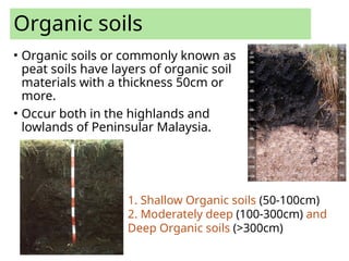 LECTURE 5-Soil Management Groups for Malaysian Soil (Felda).pptx