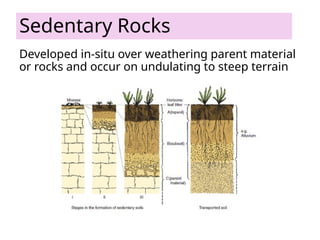 LECTURE 5-Soil Management Groups for Malaysian Soil (Felda).pptx