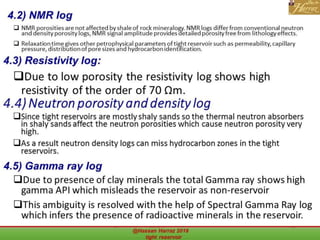 tight Gas reservoir | PDF