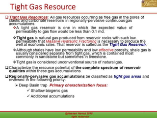tight Gas reservoir | PDF