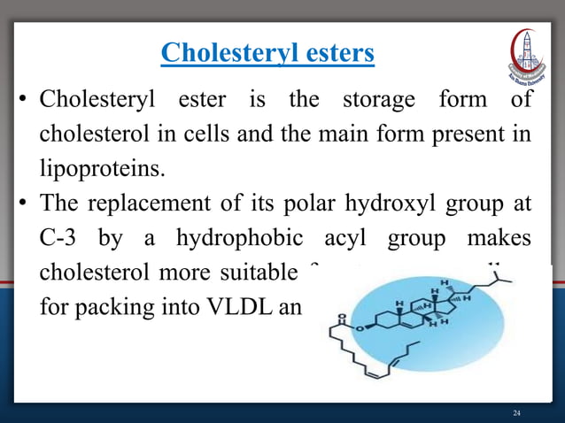 Lecture 54 -Biochemistry - Cholesterol metabolism 1 (1).pdf