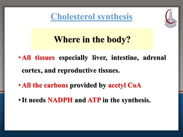 Lecture 54 -Biochemistry - Cholesterol metabolism 1 (1).pdf