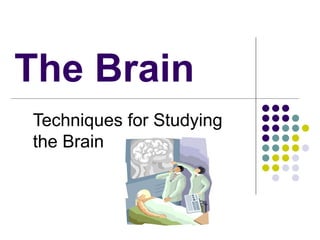 Neurological Basis of Behavior: Structure of brain and functions | PPT