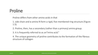 LECTURE # 5 AMINO ACIDS PEPTIDES AND PROTEIN.pptx