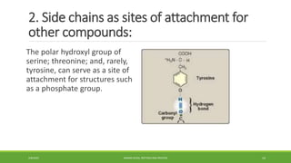 LECTURE # 5 AMINO ACIDS PEPTIDES AND PROTEIN.pptx