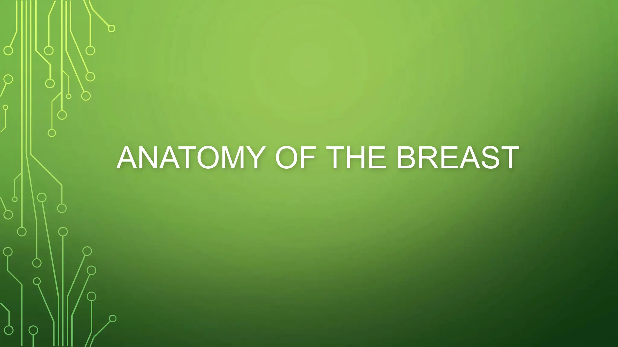 Anatomy of the Breast.pptx | Medical Health