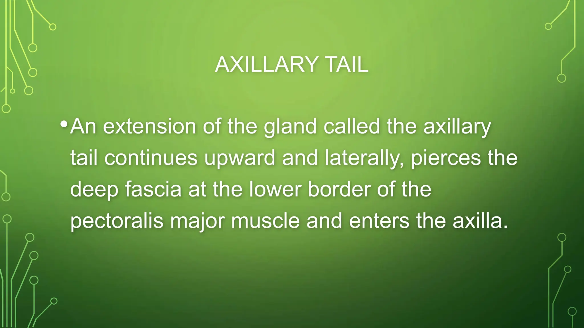 Anatomy of the Breast.pptx