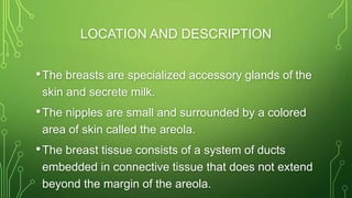 Anatomy of the Breast.pptx