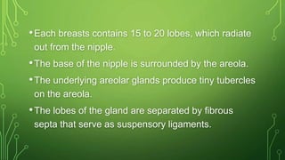 Anatomy of the Breast.pptx