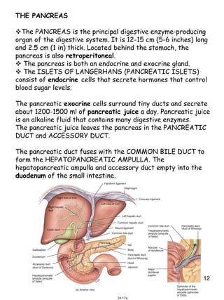 Lecture 5 and 6 digestive system | PPT