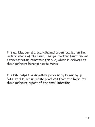 Lecture 5 and 6 digestive system | PPT