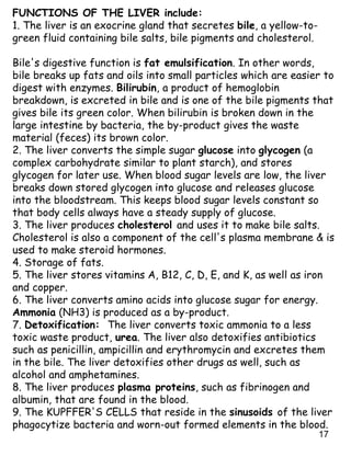 Lecture 5 and 6 digestive system | PPT
