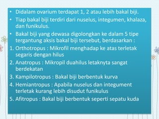 PPT Embriologi Tumbuhan - Angiospermae | PPTX