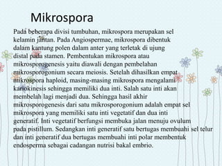 PPT Embriologi Tumbuhan - Angiospermae | PPTX