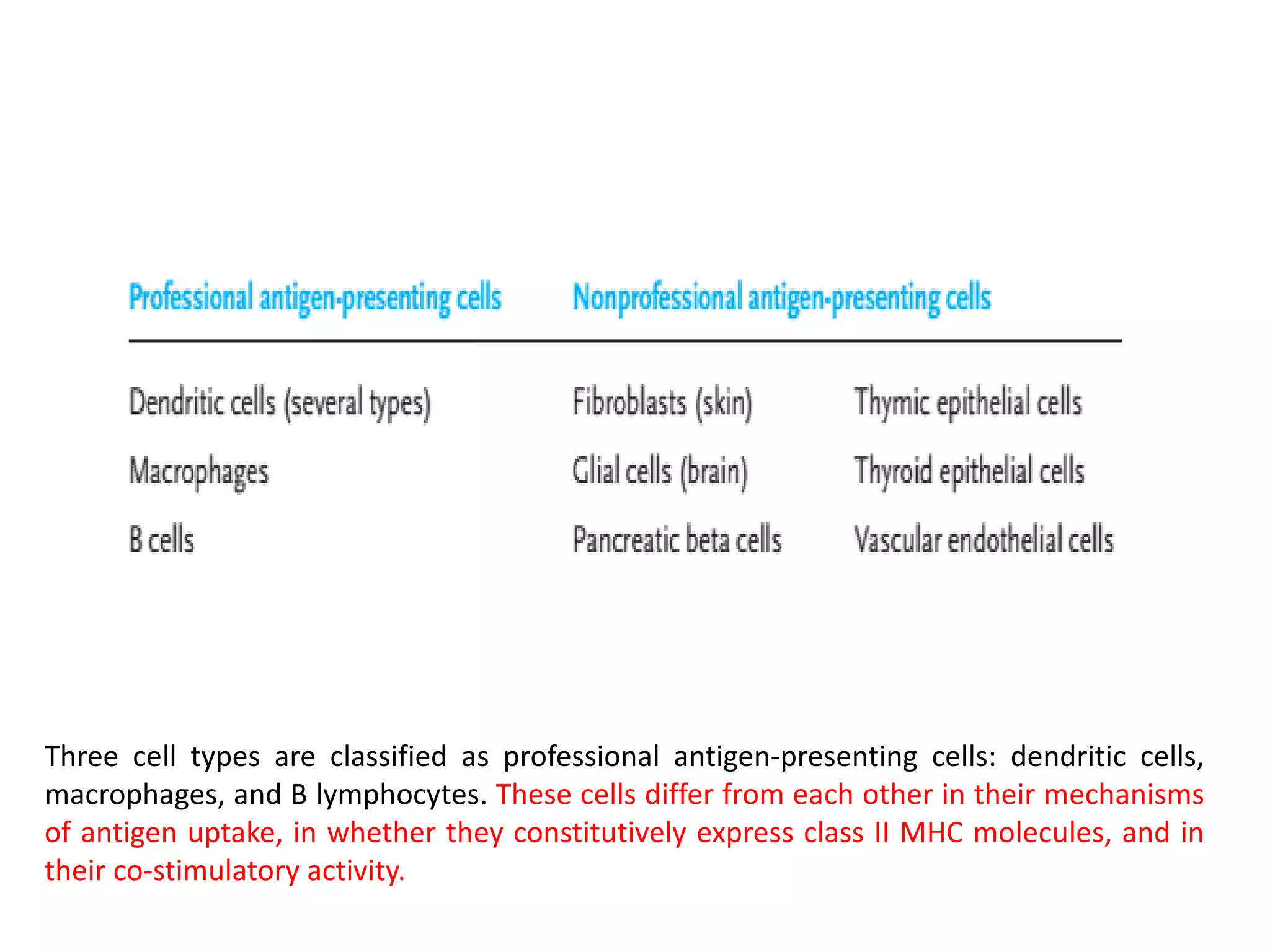 Lecture on Antigen processing and presentation pathways | PDF