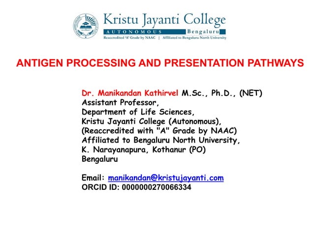 Lecture on Antigen processing and presentation pathways | PDF | Chemistry | Science