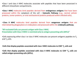 Lecture on Antigen processing and presentation pathways | PDF