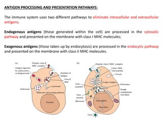 Lecture on Antigen processing and presentation pathways | PPT