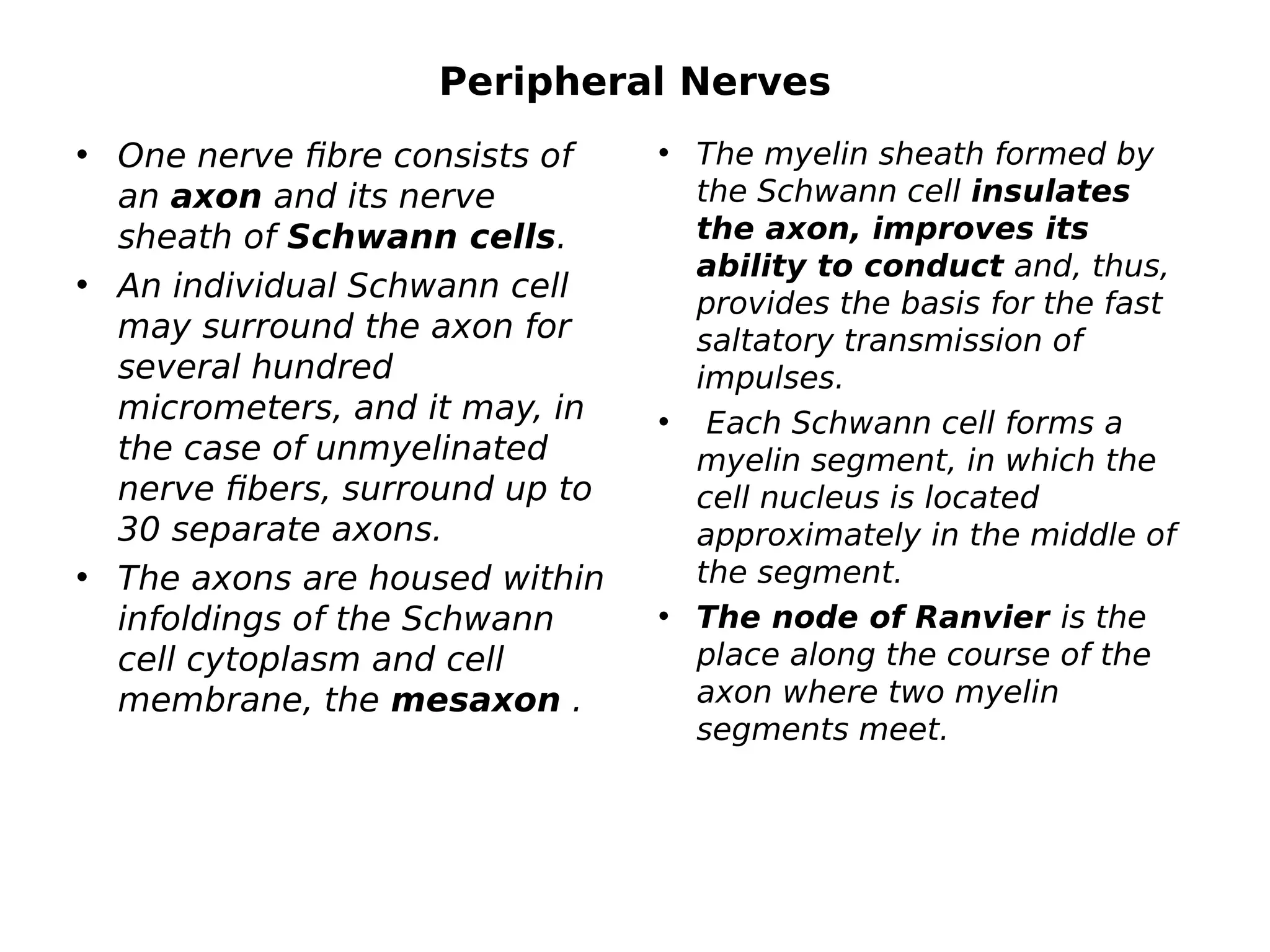 lecture 5a Scapular region Brachium.pdf